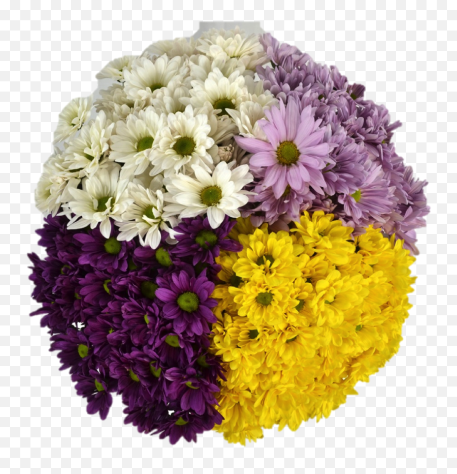 What Does A Smiley Face Symbolize At Donald Pepper Blog What Does A Smiley Face Symbolize At Donald Pepper Blog