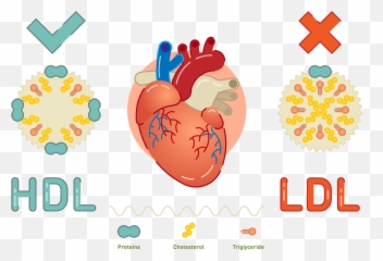 What Is Diabetes Emoji,Blood Sugar Emotions - Free Emoji PNG Images ...